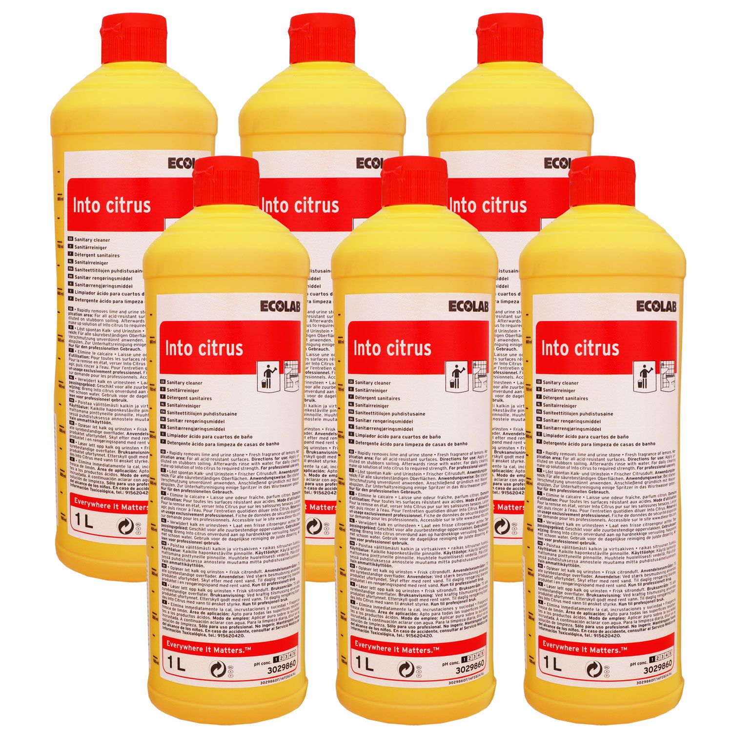 Ecolab Citrus Sanitärreiniger Set