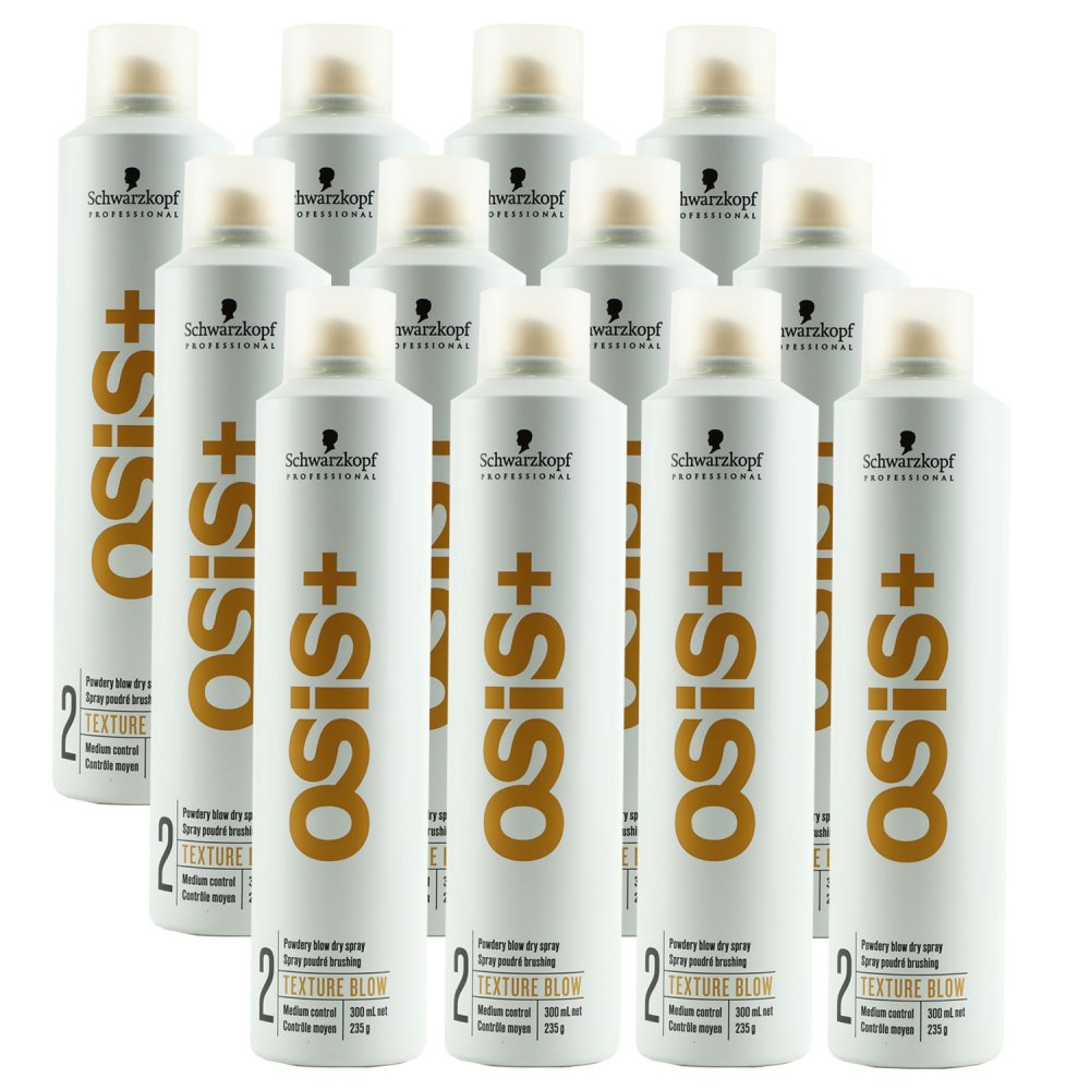 Schwarzkopf Osis Texture Blow 12 x 300 ml trocken Föhn Spray bei Riemax